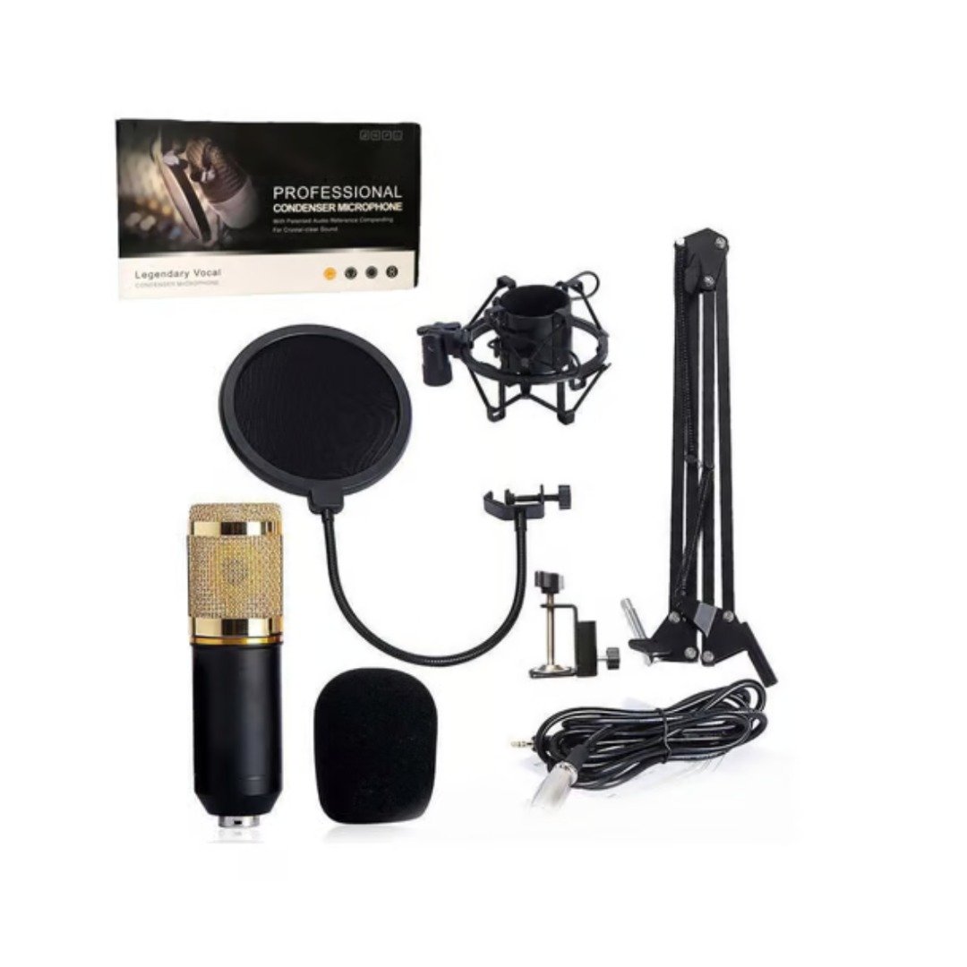 Legendary Vocal Professional Condenser Microphone | Generations